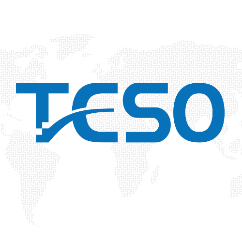 Worki - TESO Group ХХК